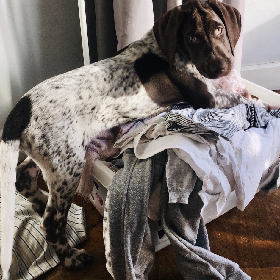 Teddy talks #2 - Minke Maat